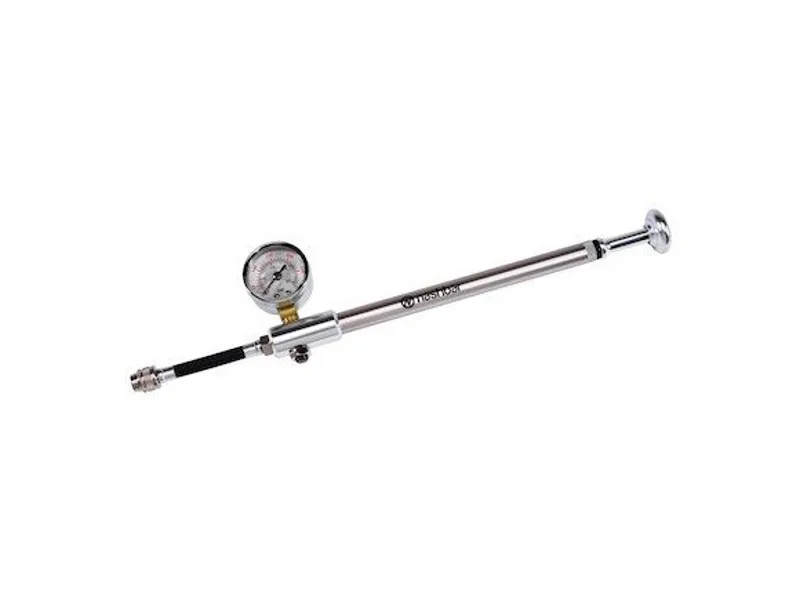 Raleigh Suspension Shock Pump