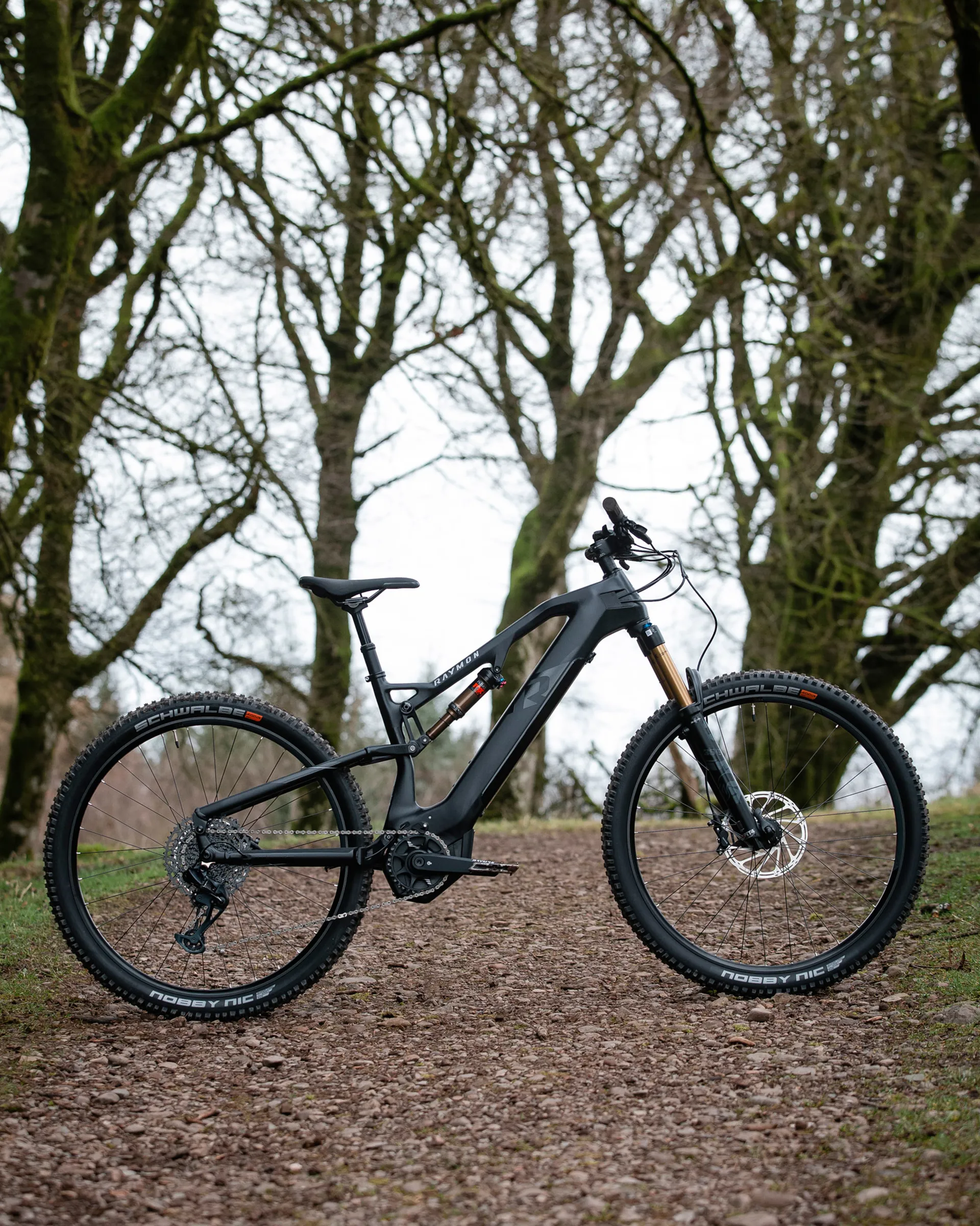 R Raymon FullRay 150E 11.0 Electric Mountain Bike Carbon/Black